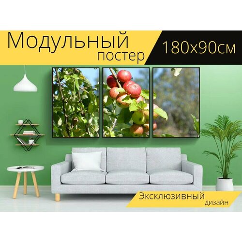 Модульный постер "Падение, дерево, яблоки" 180 x 90 см. для интерьера