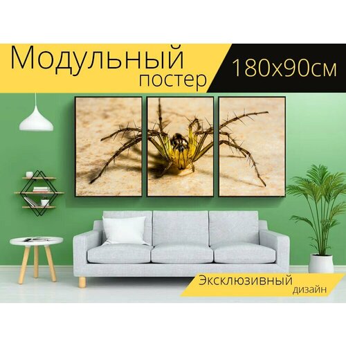 Модульный постер "Небольшой паук, паук, паукообразные" 180 x 90 см. для интерьера