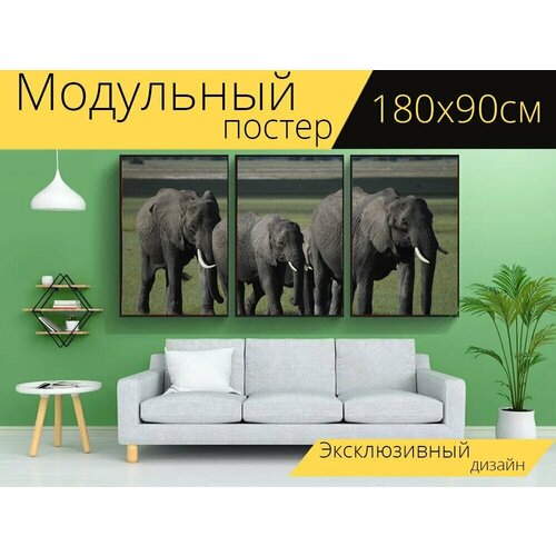 Модульный постер "Слоны, амбосели, слон" 180 x 90 см. для интерьера