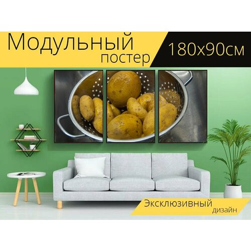Модульный постер "Картошка, овощи, биография" 180 x 90 см. для интерьера