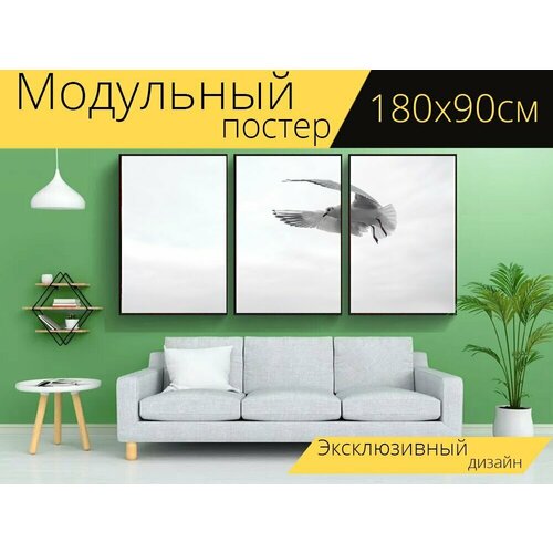 Модульный постер "Чайка, крыло, птица" 180 x 90 см. для интерьера
