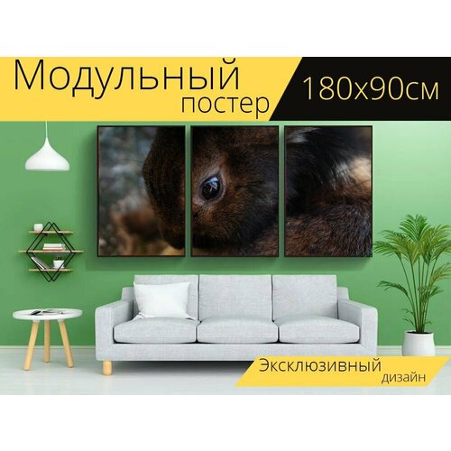 Модульный постер "Кролик, глаз, кролики" 180 x 90 см. для интерьера