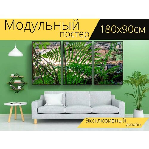 Модульный постер "Пространство, мох, растения" 180 x 90 см. для интерьера