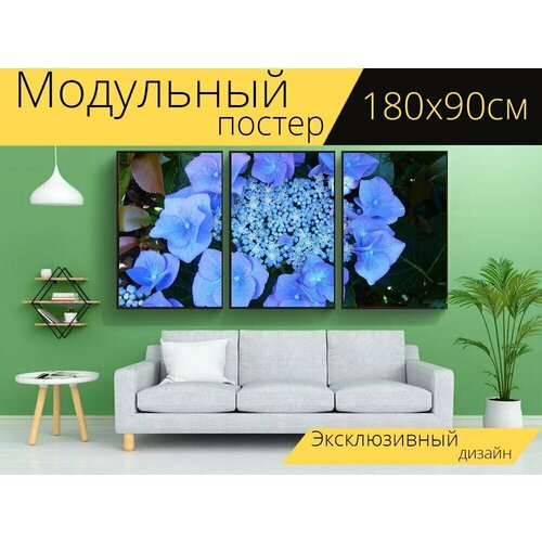 Модульный постер "Тарелка гортензия, гортензия, синий" 180 x 90 см. для интерьера