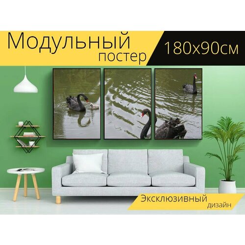 Модульный постер "Лебеди, в ростовском, зоопарке" 180 x 90 см. для интерьера