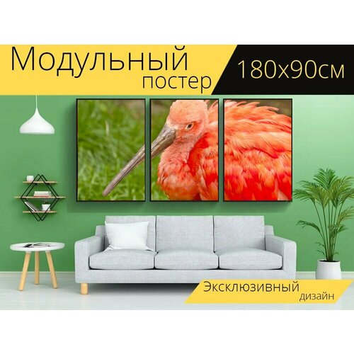Модульный постер "Птица, красный, красочный" 180 x 90 см. для интерьера