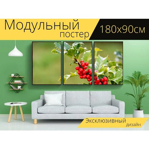Модульный постер "Холли, фрукты, филиал" 180 x 90 см. для интерьера