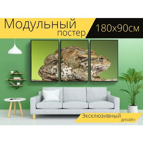 Модульный постер "Контрейлерный, жаба, лягушка" 180 x 90 см. для интерьера