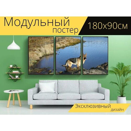 Модульный постер "Немецкая овчарка, весна, собака" 180 x 90 см. для интерьера
