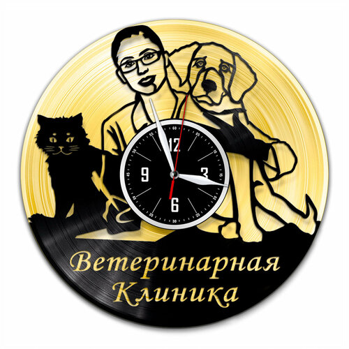 Ветеринарная клиника - настенные часы из виниловой пластинки (с золотой подложкой)