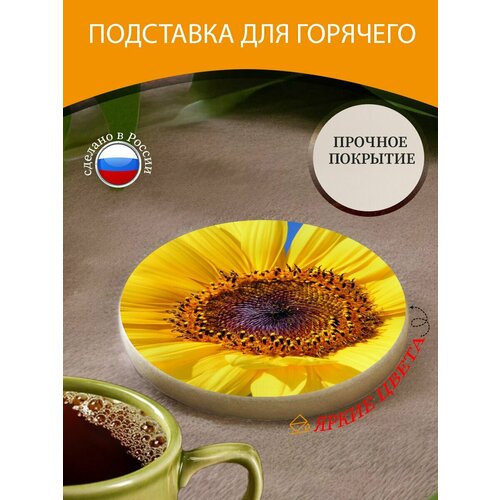 Подставка под горячее "Подсолнух, подсолнухи, цветок" 10 см. из блого мрамора