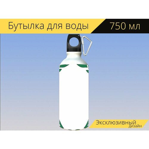 Бутылка фляга для воды "Лавровый венок, листья, лавр" 750 мл. с карабином и принтом