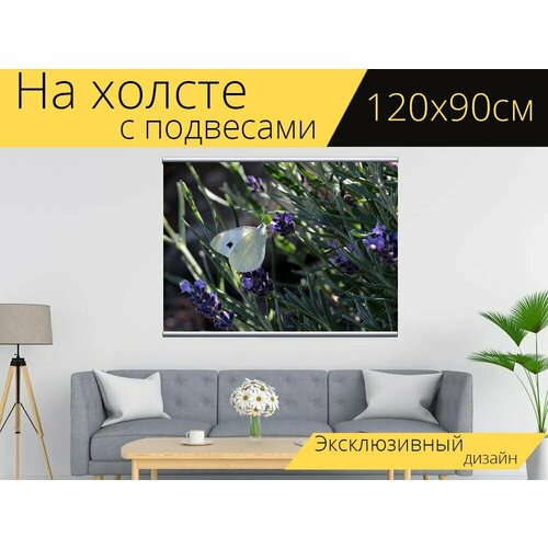 Картина на холсте "Бабочка, сад, природа" с подвесами 120х90 см. для интерьера