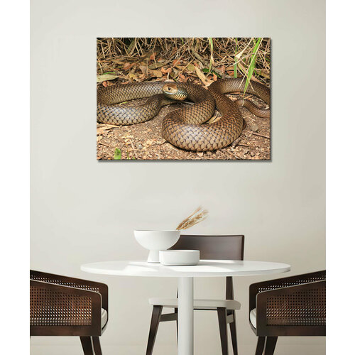 Картина - змея, сетчатая змея, коричневая змея, ядовитая змея, большая змея, кожа змеи (5) 20х30