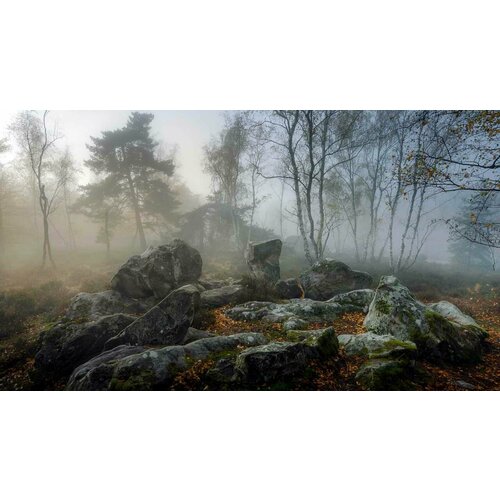 Картина на холсте 60x110 Альянс Лес "Природа туман" на подрамнике / интерьер/ декор
