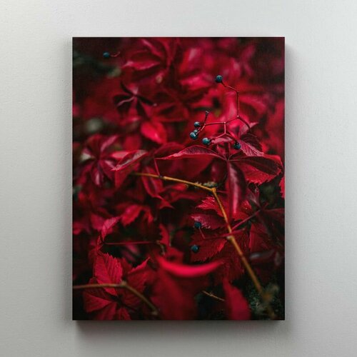 Интерьерная картина на холсте "Красный дикий виноград" размер 22x30 см