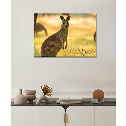 Картина - кенгуру, маленький кенгуру, длинноухий кенгуру, кенгуру в природе (19) 30х40