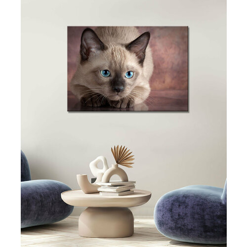 Картина - кошка, сиамская кошка, домашняя кошка, ласковая кошка, короткошерстная кошка, котёнок, кот (88) 60х80