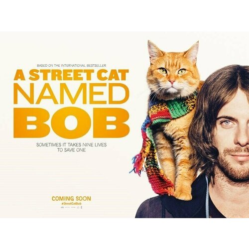 Плакат, постер на холсте Уличный кот по кличке Боб (A Street Cat Named Bob), Роджер Споттисвуд. Размер 30 х 42 см