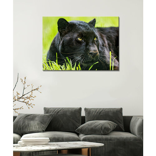Картина/Ягур/Ягуар в джунглях/Ягуар на дереве/Черный ягуар/ - Ягуар (1) 50х70