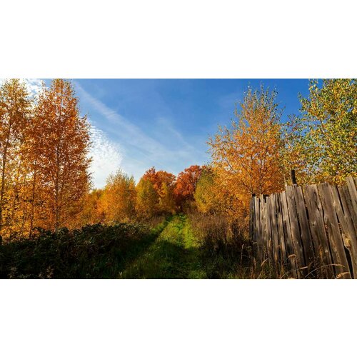 Картина на холсте 60x110 LinxOne "Деревья пейзаж забор осень" интерьерная для дома / на стену / на кухню / с подрамником