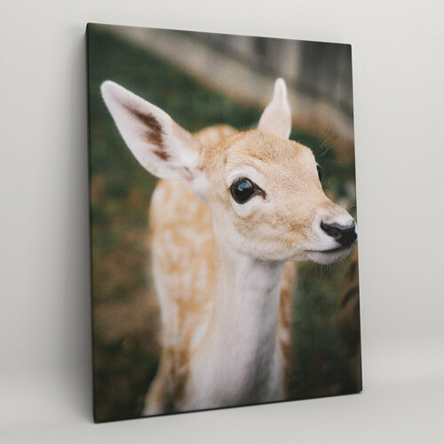 Картина на холсте (интерьерный постер) "Молодой олененок" животные, с деревянным подрамником, размер 30x40 см