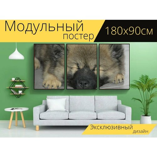 Модульный постер "Собака, щенок, который спит" 180 x 90 см. для интерьера