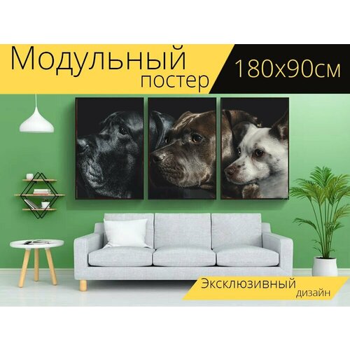Модульный постер "Собака, счастливый, домашнее животное" 180 x 90 см. для интерьера