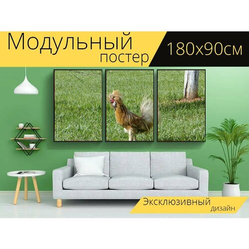 Модульный постер "Петух, курица, животное" 180 x 90 см. для интерьера