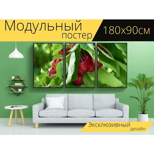 Модульный постер "Вишня, вишневое дерево, черешня" 180 x 90 см. для интерьера