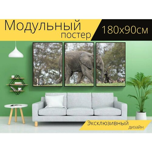 Модульный постер "Слон, зоопарк, детка" 180 x 90 см. для интерьера