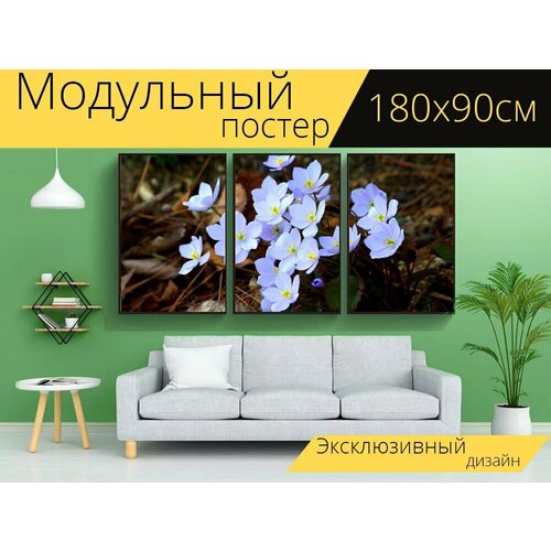 Модульный постер "Природа, завод, цветок" 180 x 90 см. для интерьера