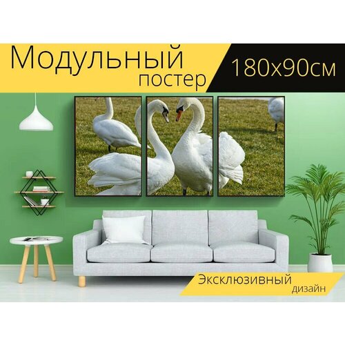 Модульный постер "Лебедь, птицы, водоплавающие птицы" 180 x 90 см. для интерьера