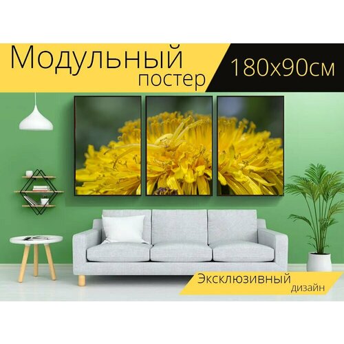 Модульный постер "Желтый, голденрод крабпаук, цветочный паук" 180 x 90 см. для интерьера