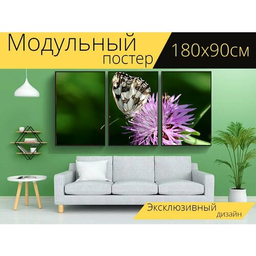 Модульный постер "Бабочка, насекомые, животные" 180 x 90 см. для интерьера