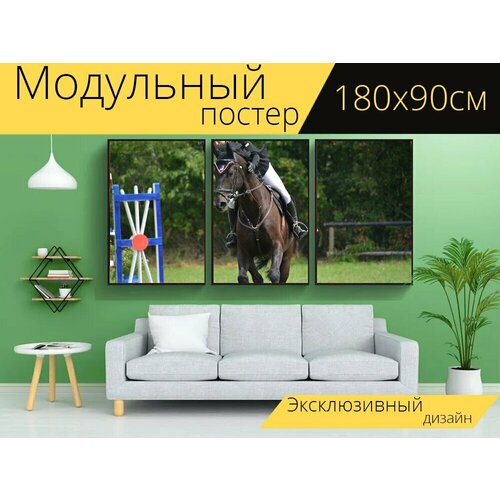 Модульный постер "Турнирная езда, конный спорт, лошадь" 180 x 90 см. для интерьера