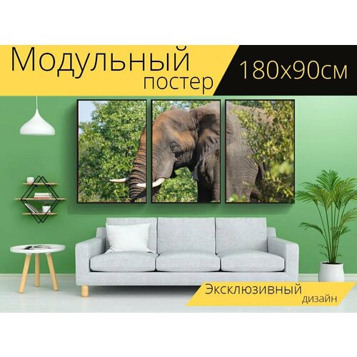 Модульный постер "Слон, африка, крюгер" 180 x 90 см. для интерьера