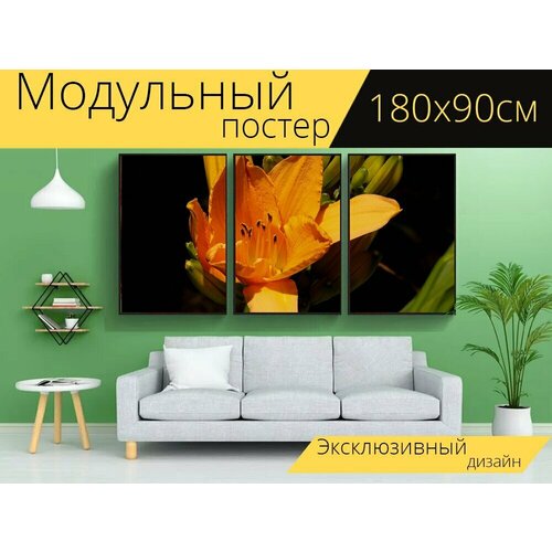 Модульный постер "Оранжевый лилейника, многолетнее растение, цветок" 180 x 90 см. для интерьера