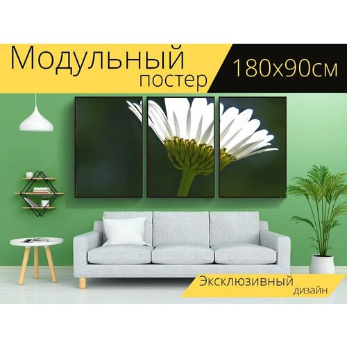 Модульный постер "Маргаритка, цветок, маргарита" 180 x 90 см. для интерьера