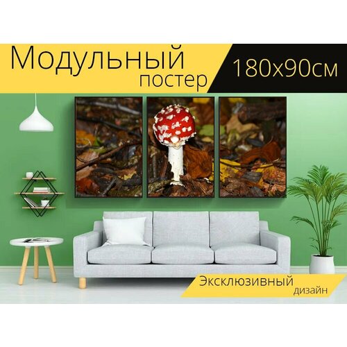 Модульный постер "Поганка, гриб, падение" 180 x 90 см. для интерьера