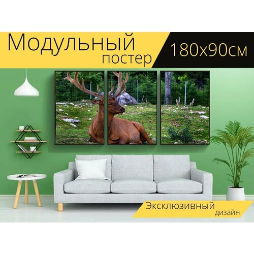 Модульный постер "Олень, шлейф, животные" 180 x 90 см. для интерьера