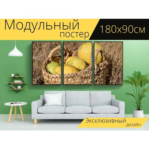 Модульный постер "Лимоны, урожай лимона, уборка урожая" 180 x 90 см. для интерьера