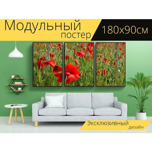 Модульный постер "Цветы, красный мак, мак" 180 x 90 см. для интерьера