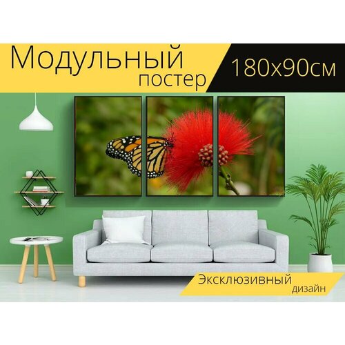 Модульный постер "Бабочка, красный, апельсин" 180 x 90 см. для интерьера