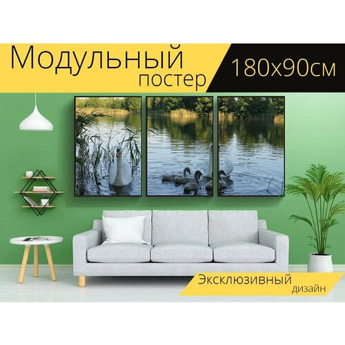 Модульный постер "Лебеди, озеро, лебедь" 180 x 90 см. для интерьера
