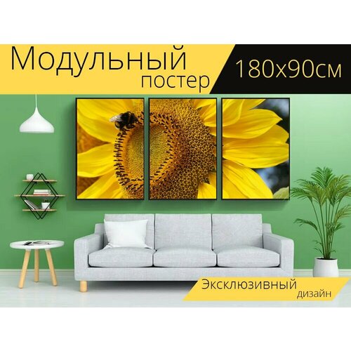 Модульный постер "Подсолнечник, цветок, зерновой" 180 x 90 см. для интерьера