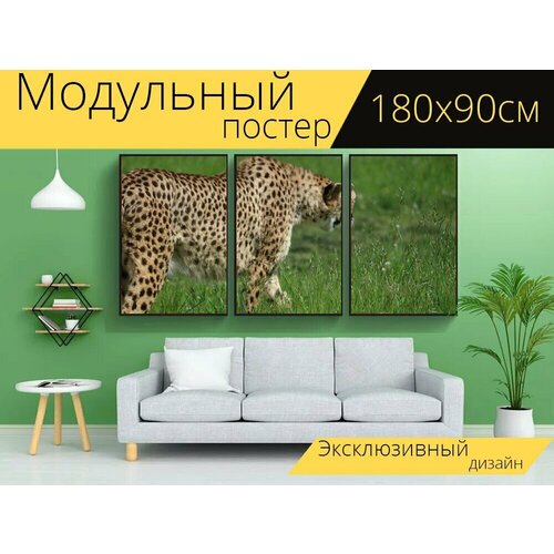 Модульный постер "Гепард, feline, хищник" 180 x 90 см. для интерьера