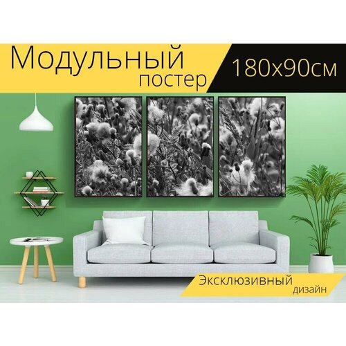 Модульный постер "Луг, черное и белое, чернобелое фото" 180 x 90 см. для интерьера