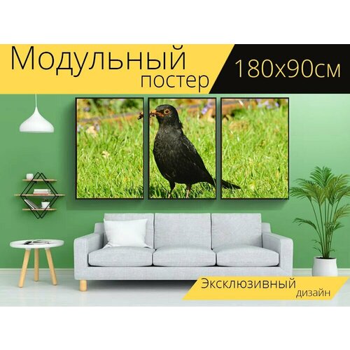 Модульный постер "Птица, черный дрозд, кормление" 180 x 90 см. для интерьера