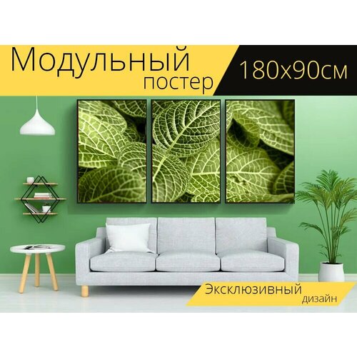 Модульный постер "Листья, план, зеленый" 180 x 90 см. для интерьера
